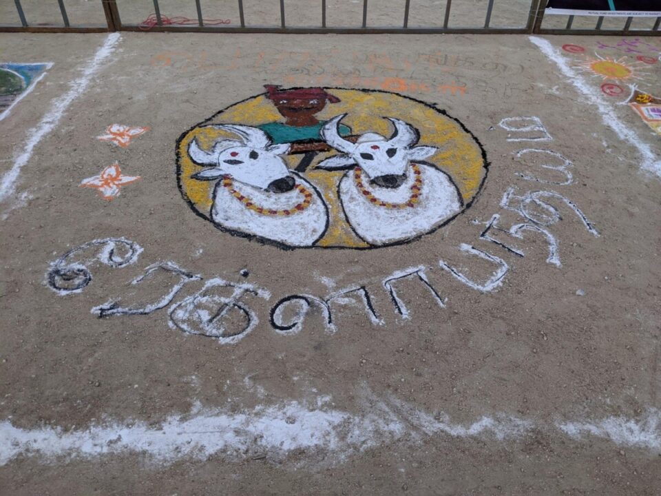 Celebrating Pongal in Tamil Nadu